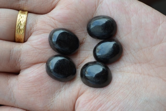 BLOG UTAMA Y.M PADUKA AYAHANDA PAY 8: KAYU PENUNDUK HITAM