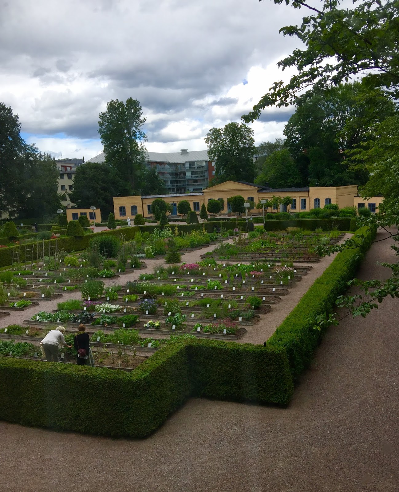 Linnaeus and a botanical pilgrimage