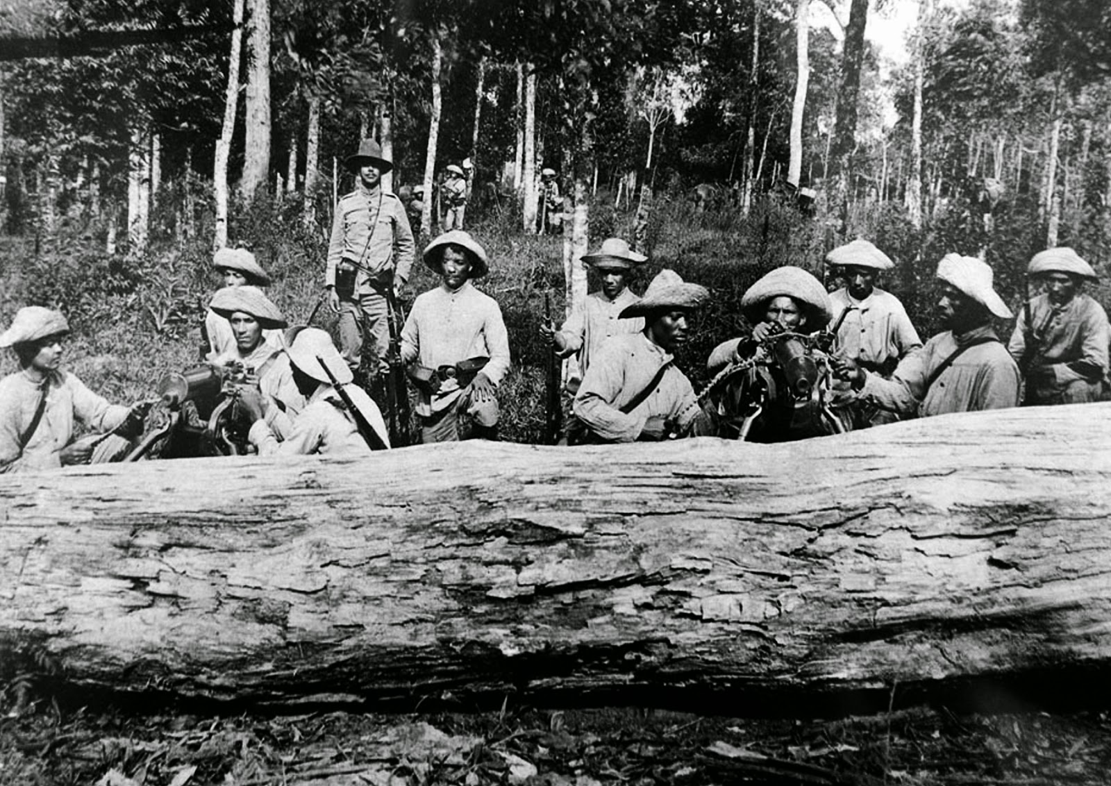 Avelino Ferreira: Guerra do Contestado, na qual brasileiros mais ...