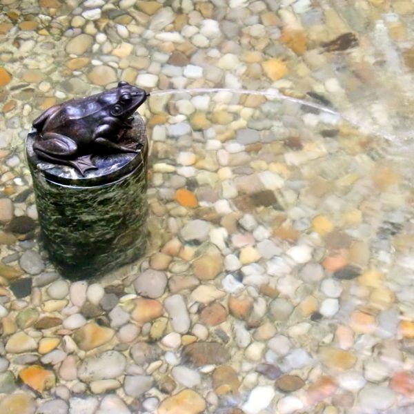 Rududu's semitropical adventures: Water watching: New York edition