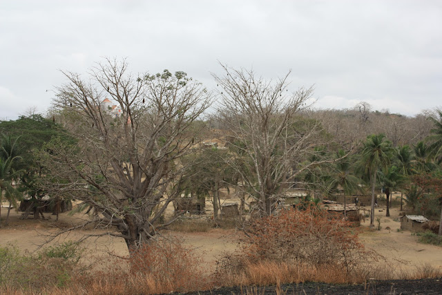 the leopard with a jacket: Angola, Massangano
