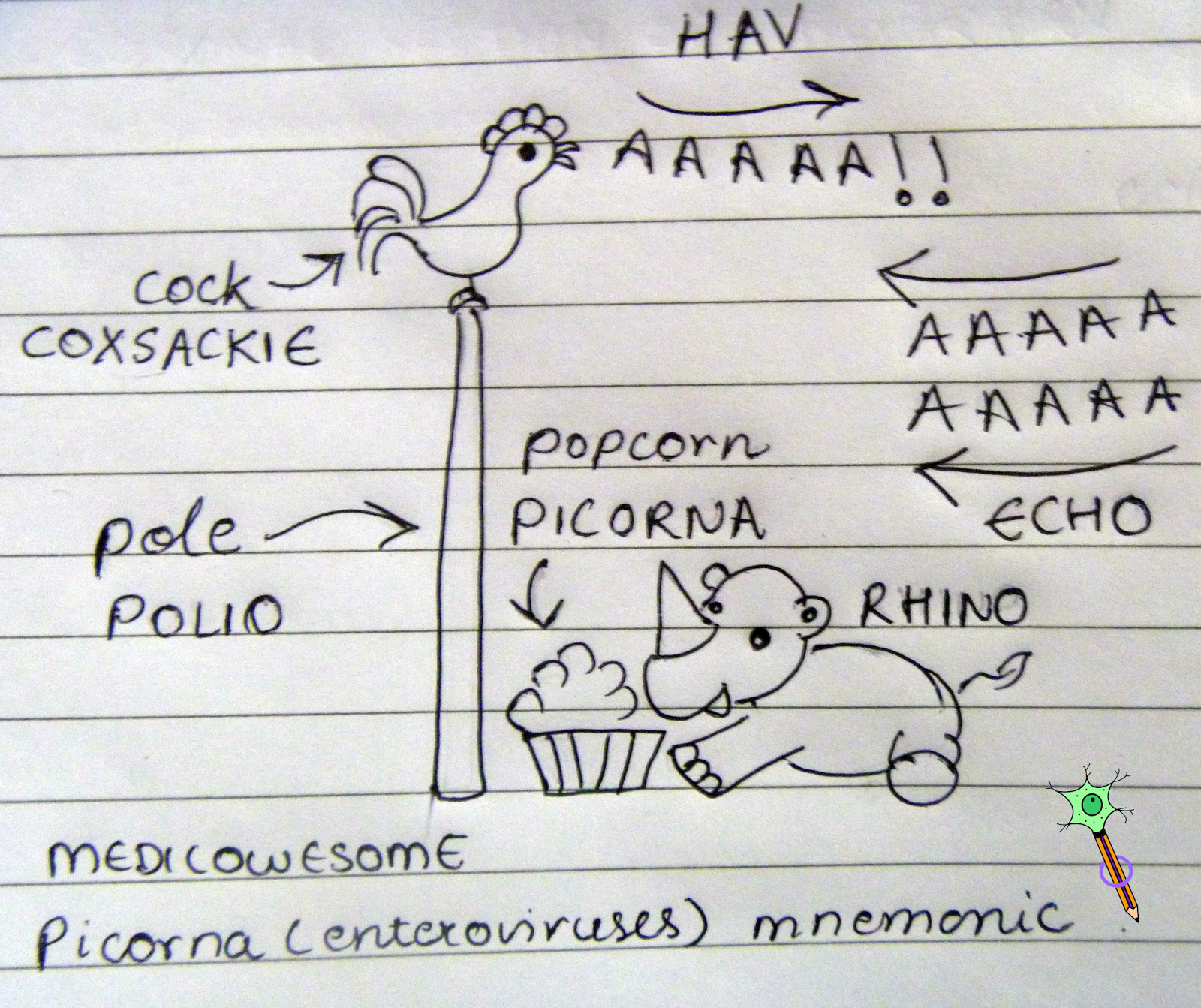 Medicowesome: Virus mnemonic