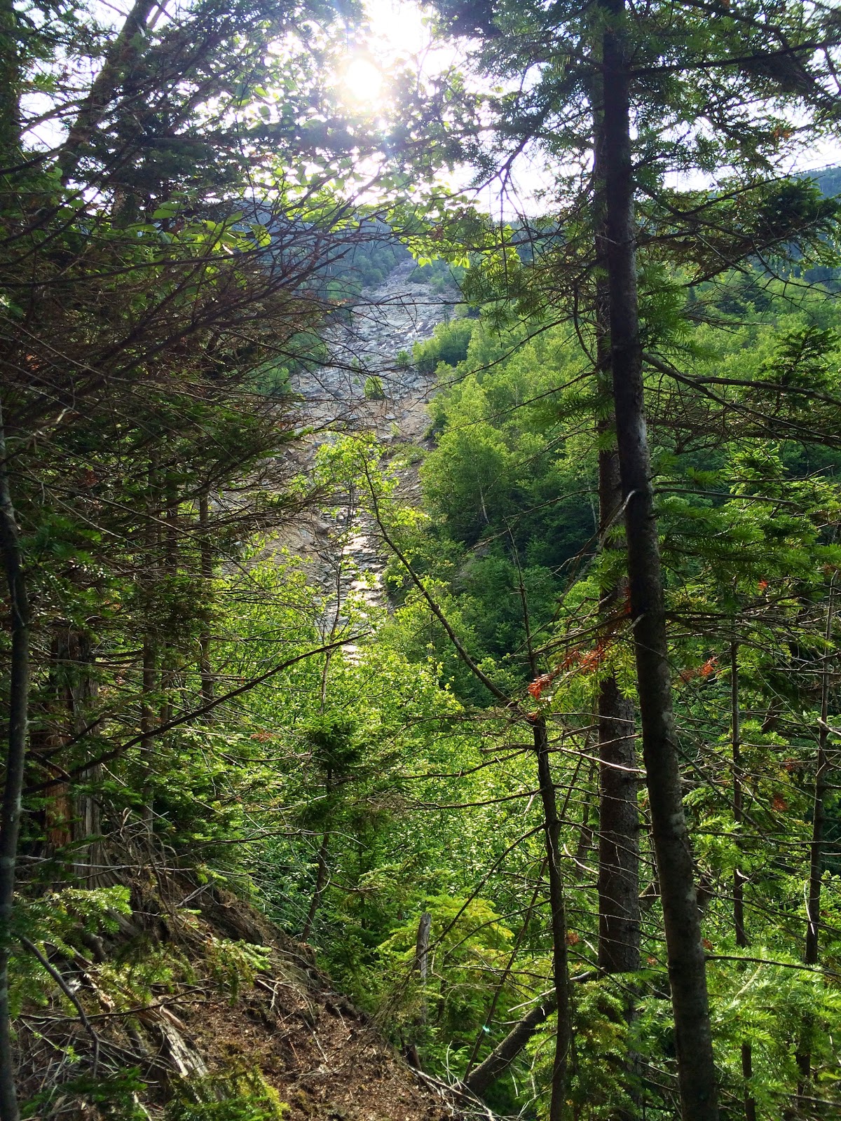NJ/NY Hikes : Adirondacks: Dix Range