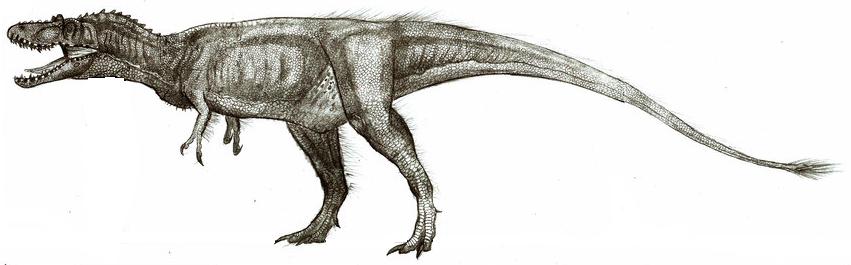 Los animales en la prehistoria: Animales prehistóricos con la letra D