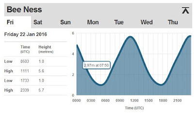 Birding the southern Medway: How to bird the Medway