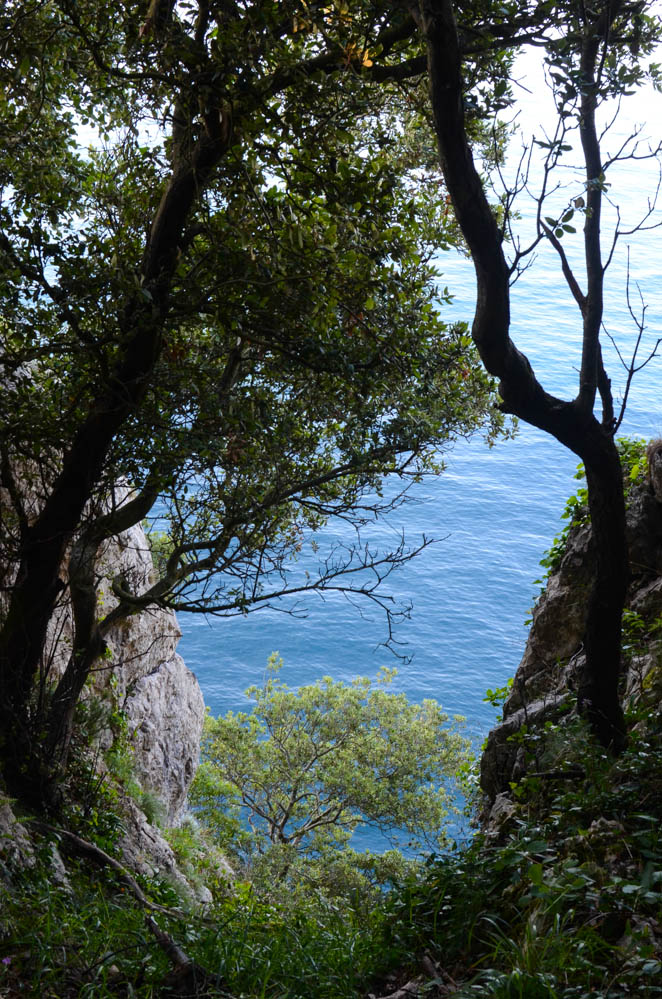 ALMANAQUE NATURAL: Los Encinares más norteños