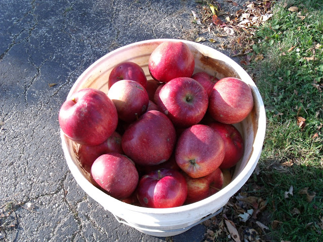 Gear Acres at Top of the Hill: 11/01/2015 - 12/01/2015