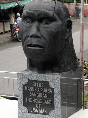 Vacation to Indonesia: Sangiran Site & Sangiran Museum, Discovery The ...