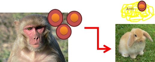 Factor Rh/Du: Factor Rh