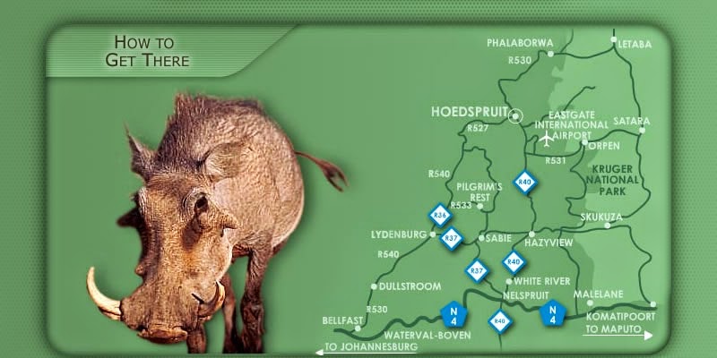 Hoedspruit Property: A closer look at living on a wildlife estate