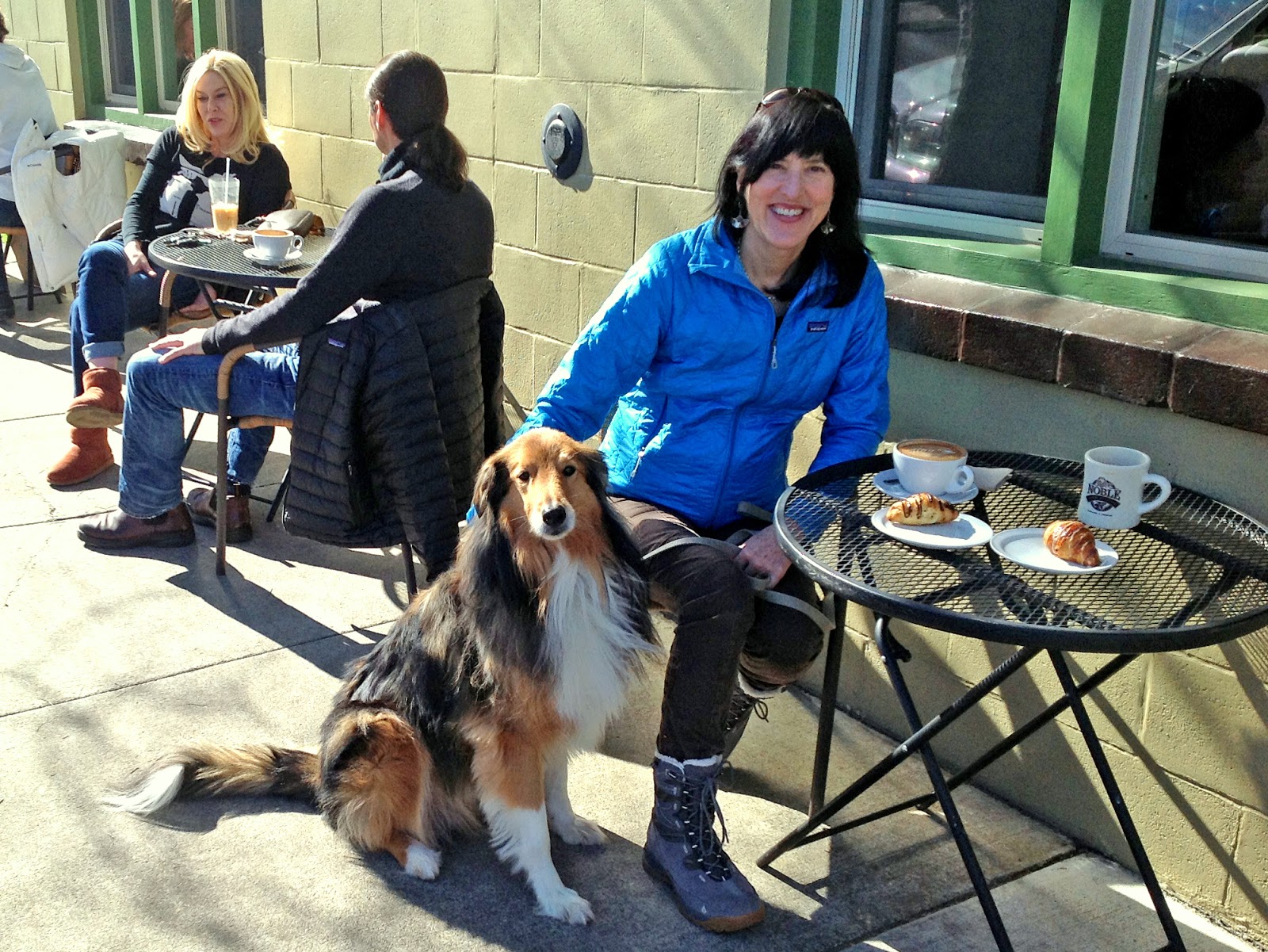 coffee with a canine: Virginia Morell & Buckaroo