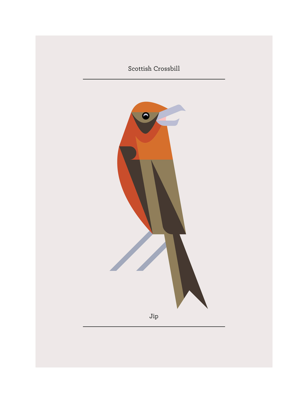 Seduced by the New...: Josh Brill Illustrations