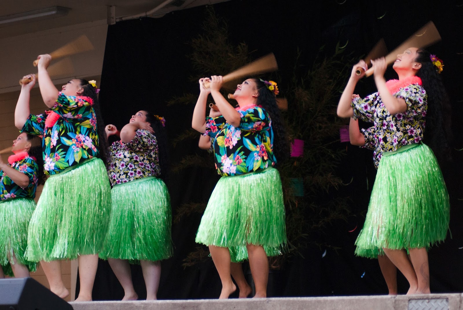 little piece of aloha: Hapa Haole Hula Competition