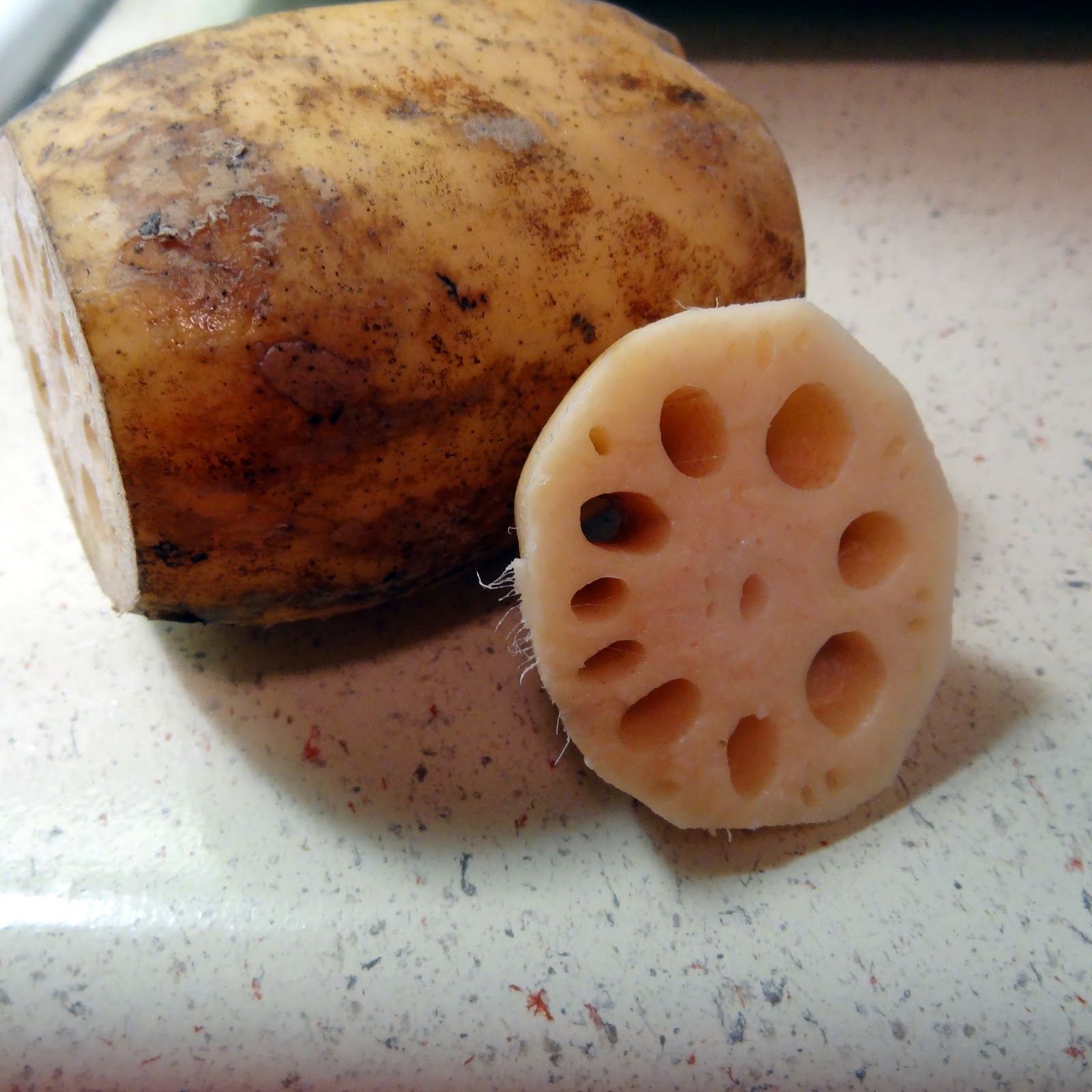 Miss Mochi's Adventures: Renkon Chips