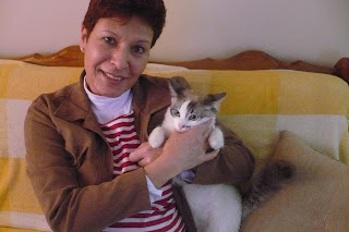 VIVER A VIDA *******************************: OS GATOS TAM