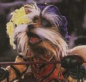 AlwaysWinterSomewhere: I live with Sir Didymus