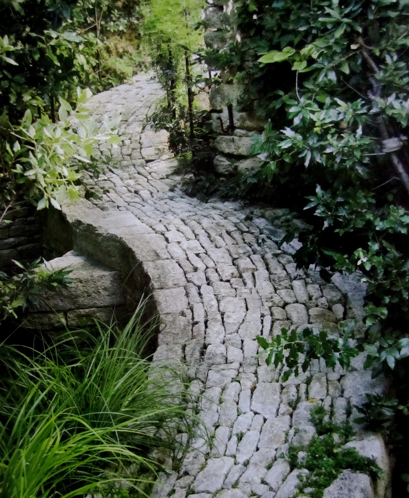 Interesting path | Garden paths, Walkways paths, Garden pathway