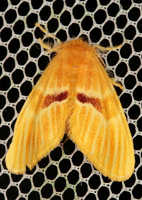 BunyipCo: September 2012