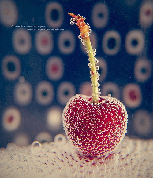 Amazing Examples Of Macro Photography ~ Pix Addictoin