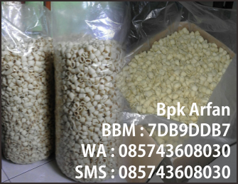 GROSIR POTHIL MURAH MAGELANG: 085743608030 Jual POTHIL SINGKONG jajanan ...