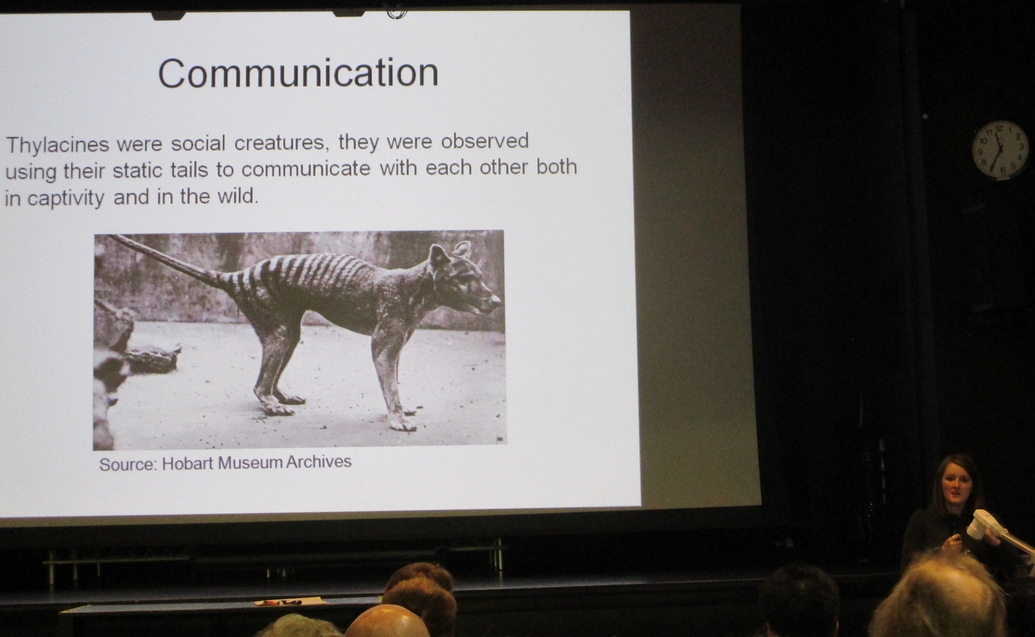 Love in the Time of Chasmosaurs: TetZooCon 2017