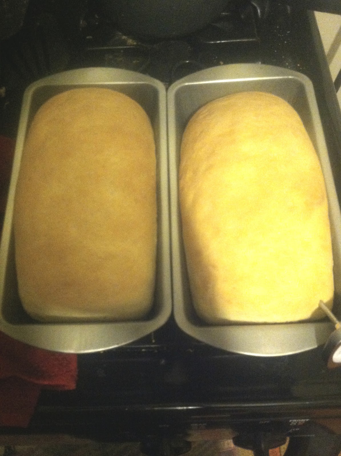 The Prepping Family: Homesteading Skills: Baking Bread