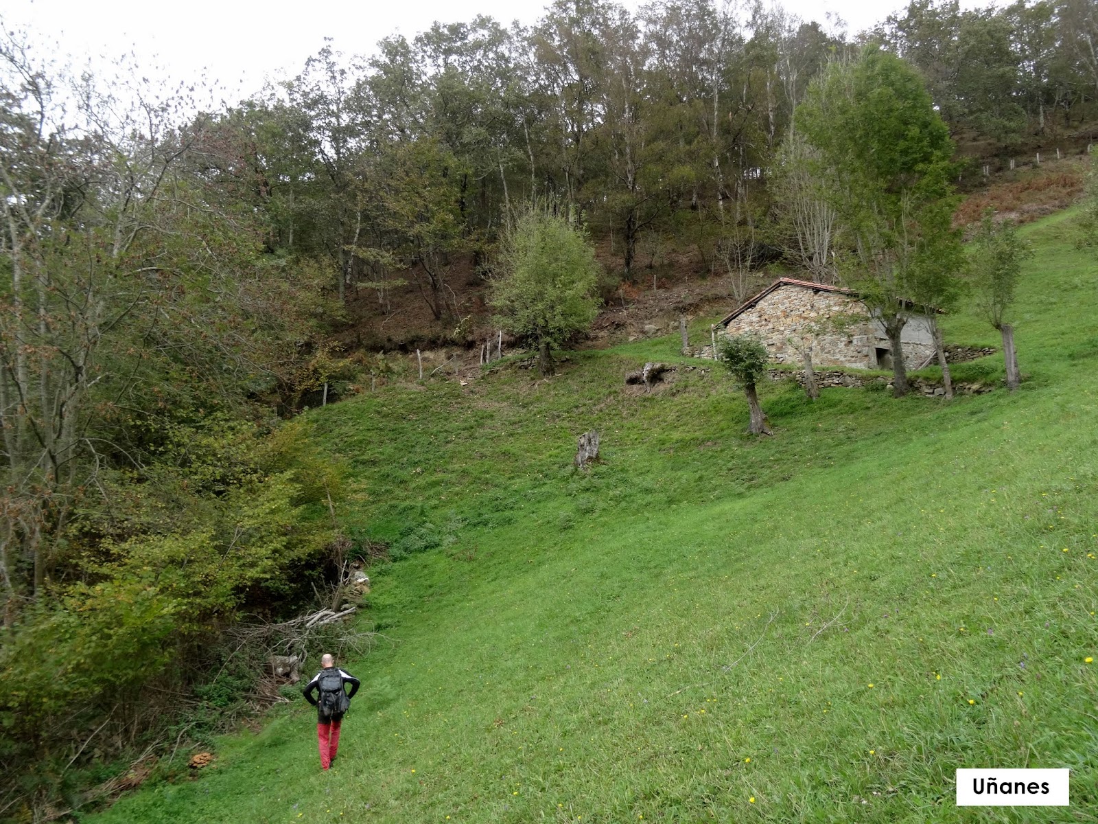 Pindio, pindio: Tornín-Següencu