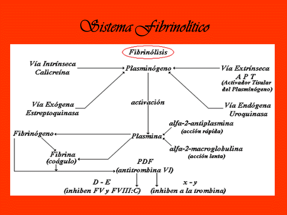 Mi1012: PLAQUETAS, COAGULACION Y FIBRINOLISIS