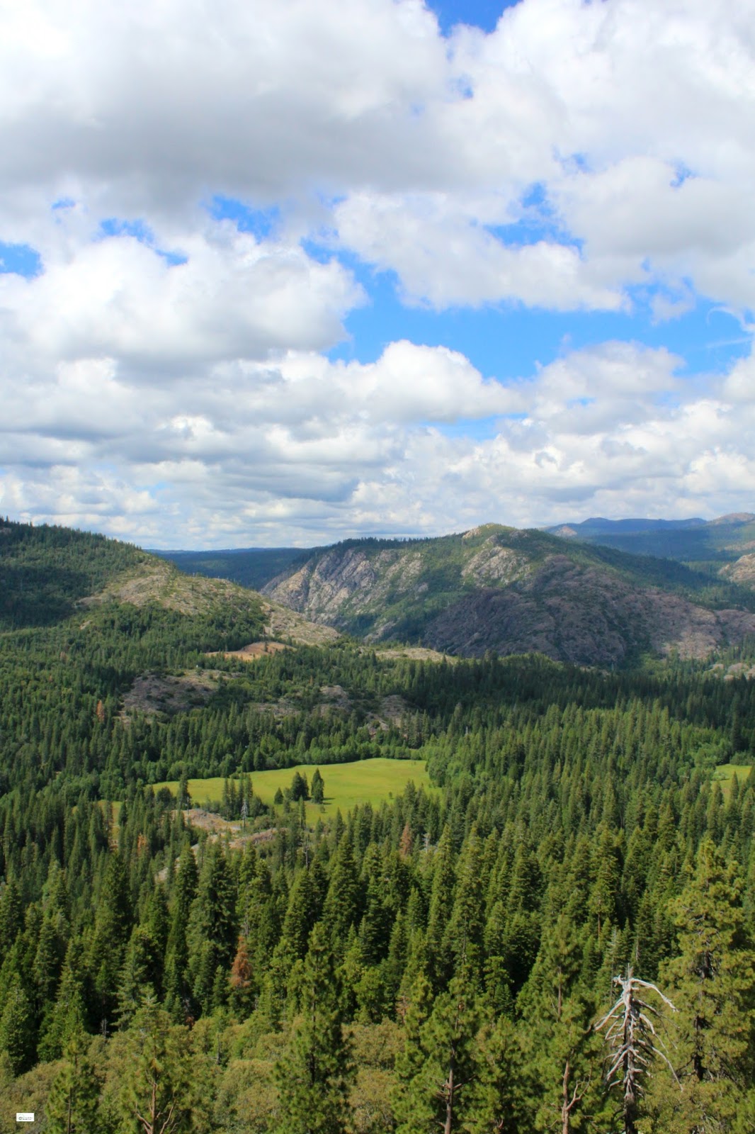 Emigrant Gap, California | Caravan Sonnet