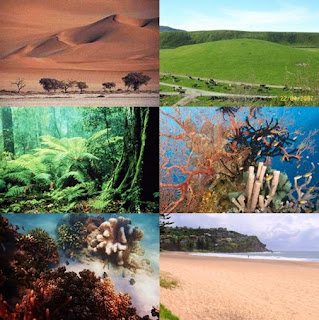 Pengertian, Komponen dan Macam-Macam Ekosistem - ADM KURMER