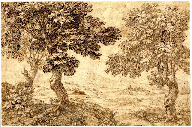 Spencer Alley: Onofri, Grimaldi, Sacchi (17th-century drawings)