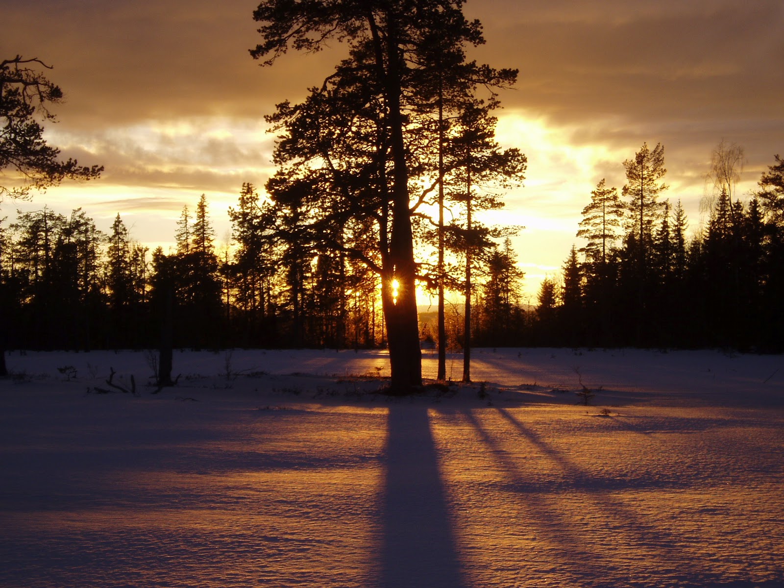 Kari Røhnes hobbyblogg: Solnedgang - vinter
