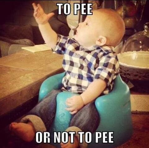 Funny Stuff: To Pee or not To Pee Meme
