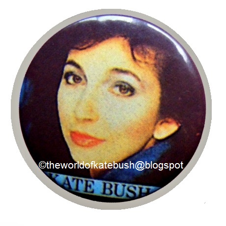 THE WORLD OF KATE BUSH: Badges
