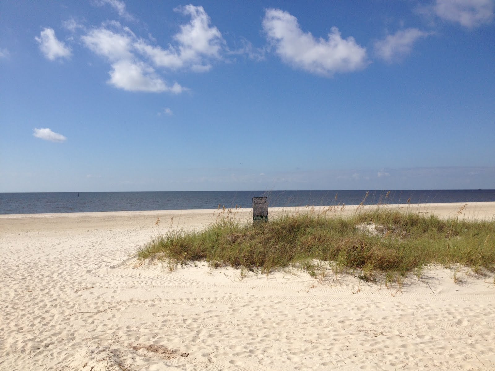 CoyoteSwamp: Biking to Henderson Point
