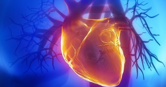 Καρδιοπάθειες: Πολυχάπι και μέτρηση επικαρδιακού λίπους το μέλλον της ...