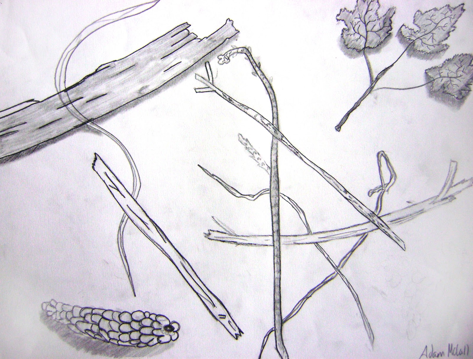 MCS ARTROOM: Leaf Value Drawing by Advanced Art Students