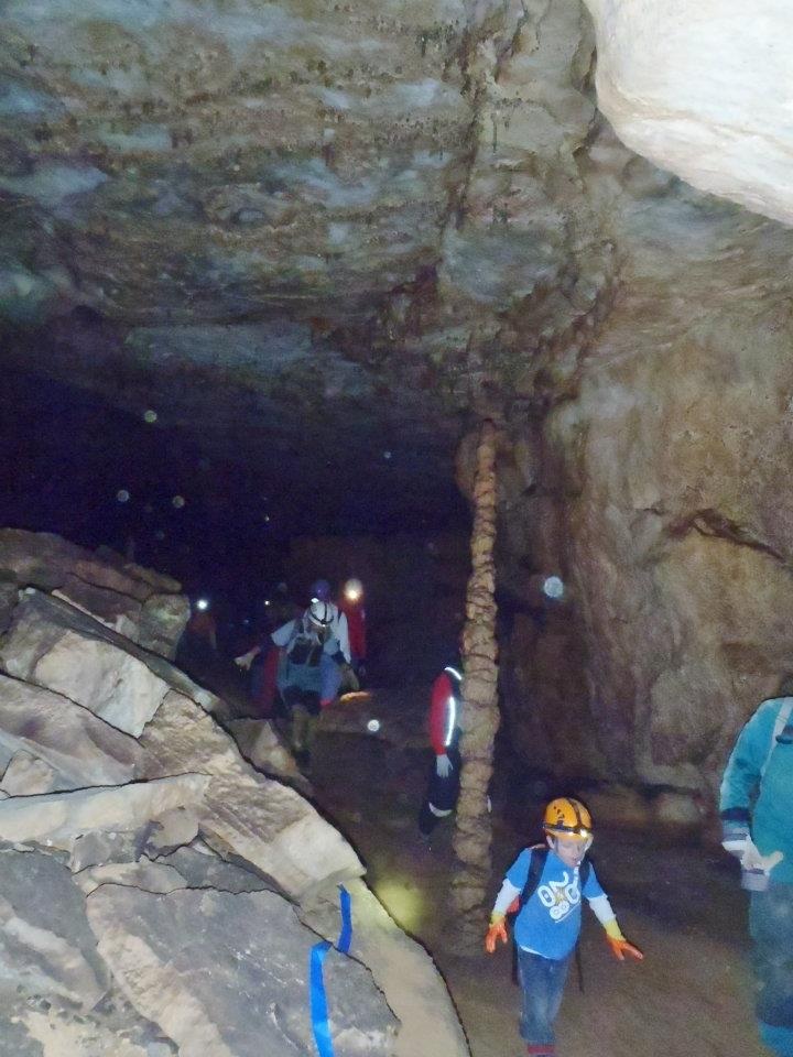 The Blue Turtle Blog: Tennessee Excursion - Part II - Blue Spring Cave