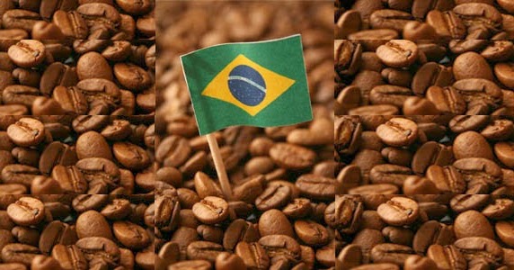 Mundo Cafeinado: Um pouco da história do café no Brasil