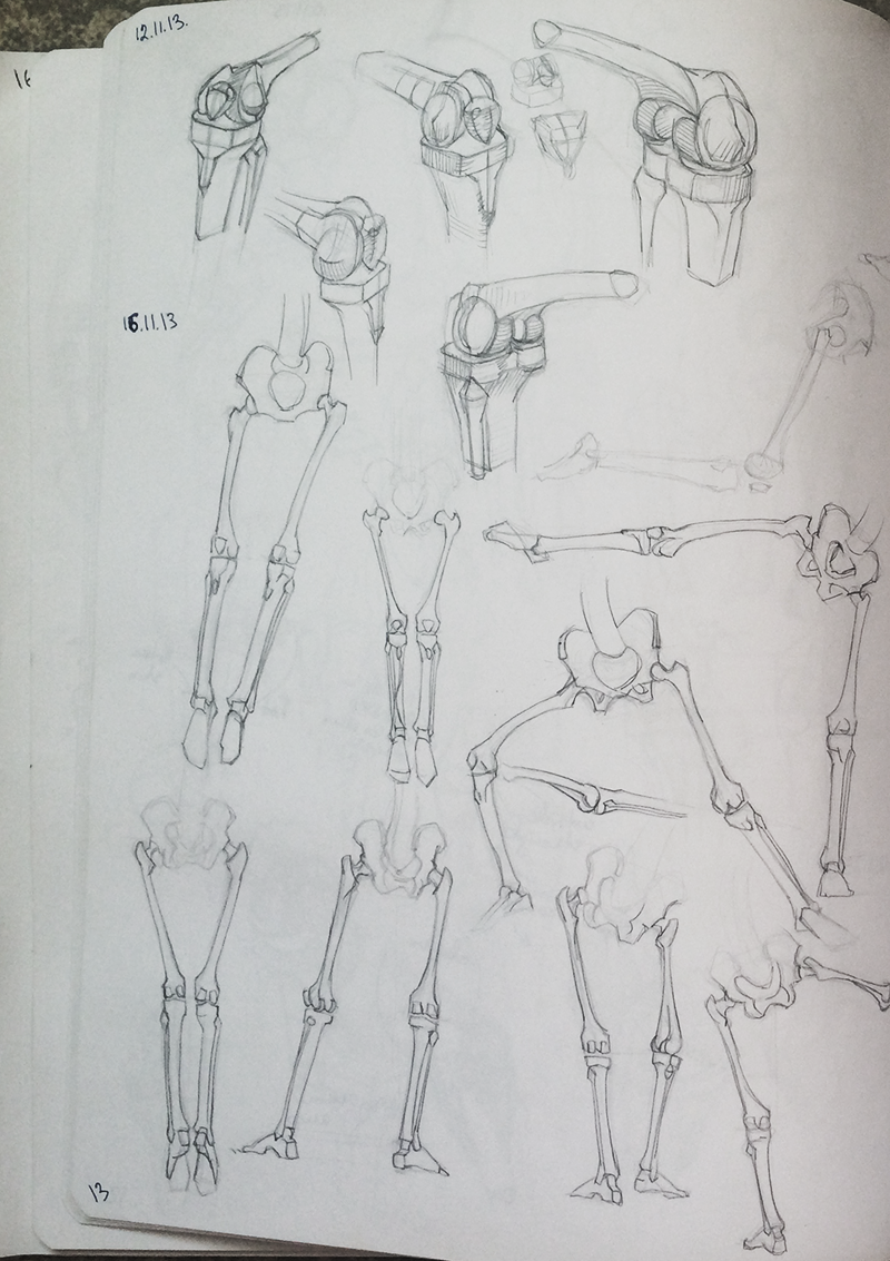 How to learn the anatomy by ZarinaSitumorang on DeviantArt