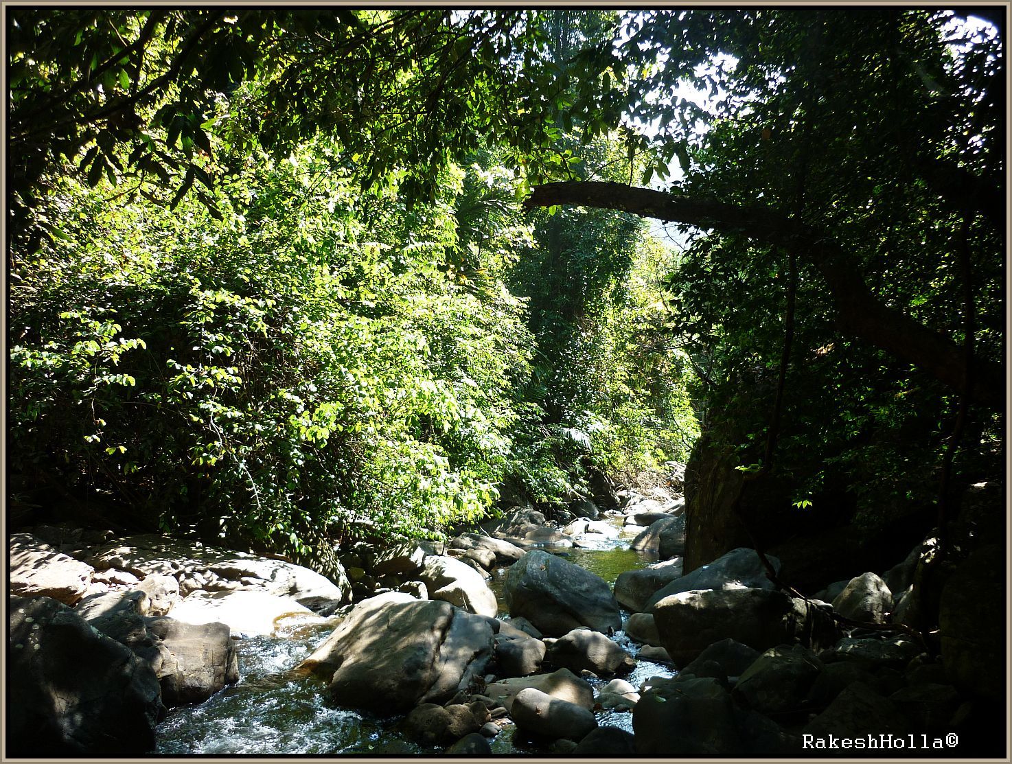 The Voice of Greenery - Trekking and Travelling in Western Ghats ...
