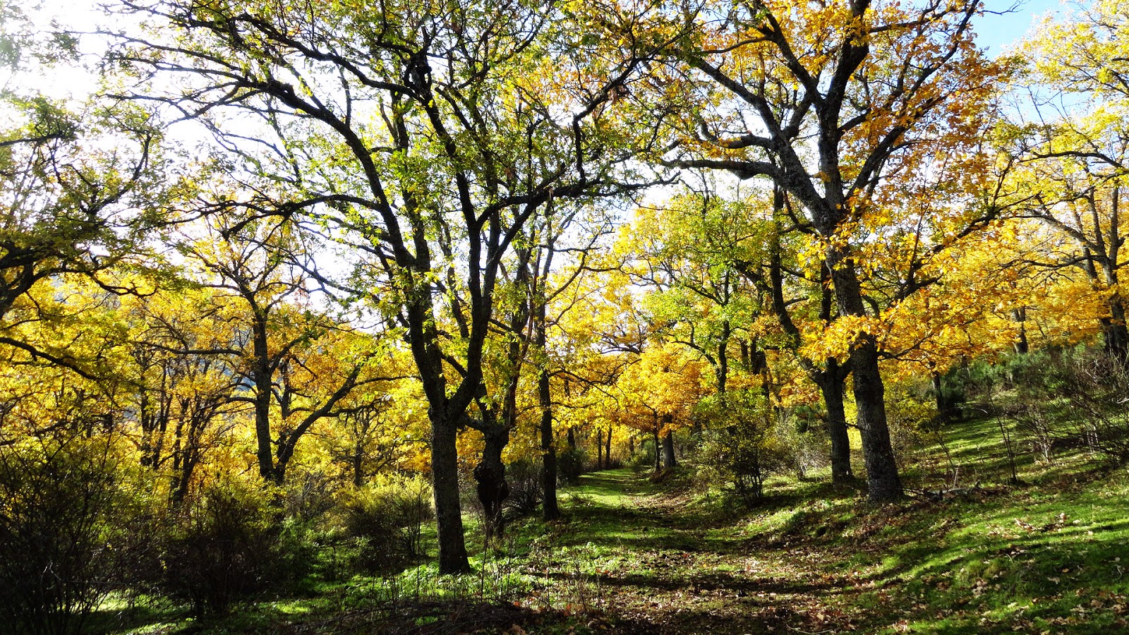 EL BICIERRANTE: NACIMIENTO DEL ADAJA Y VALLE DEL CORNEJA