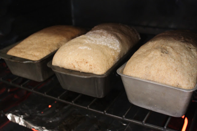 Baking Day! Our Weekly Bread