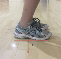 What are the Optimal Biomechanics of a Netball Shot?