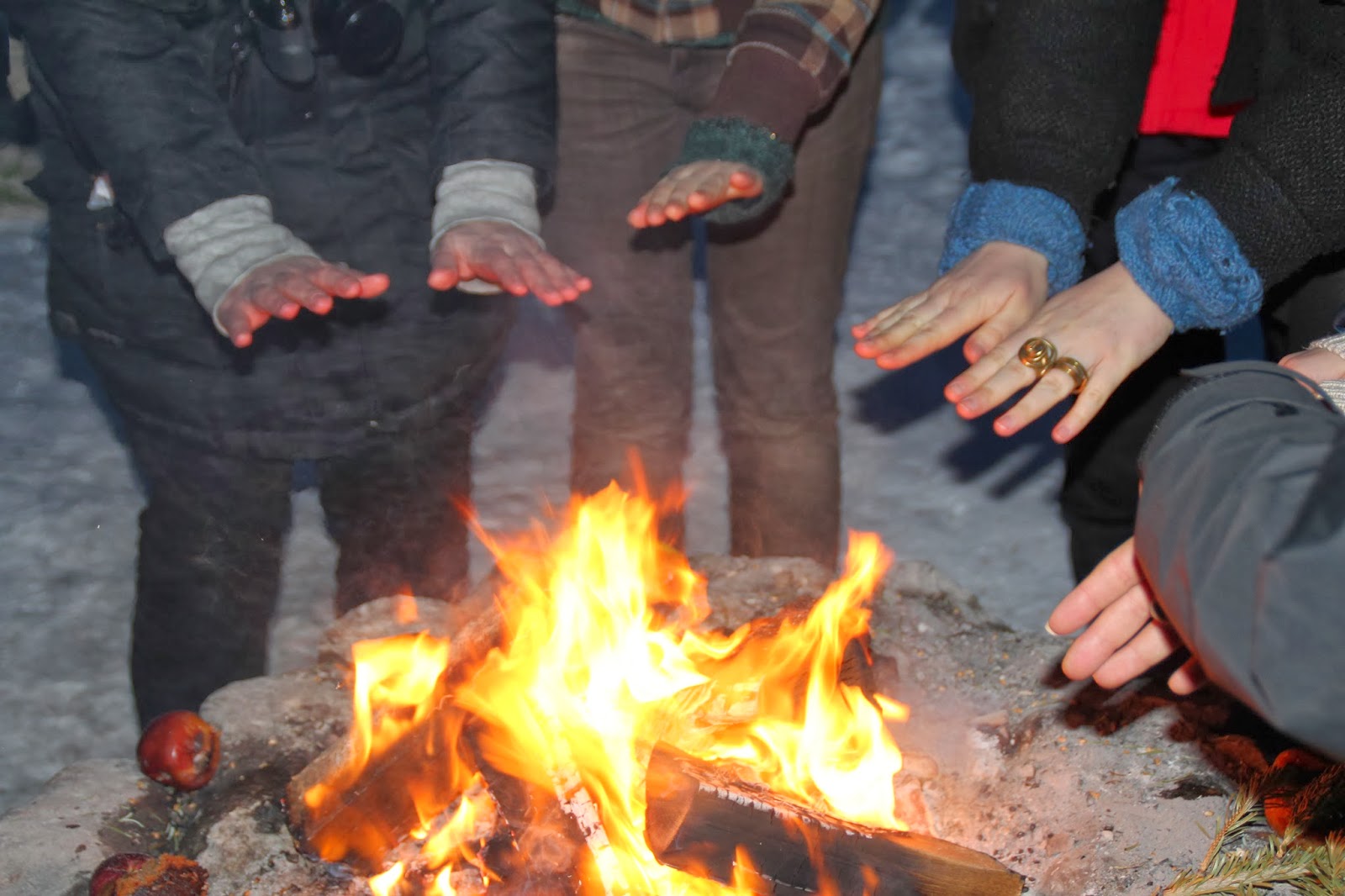 Thoughts of an Aussie Litho Pagan (Romuvis): Prayer to Gabija, Goddess ...