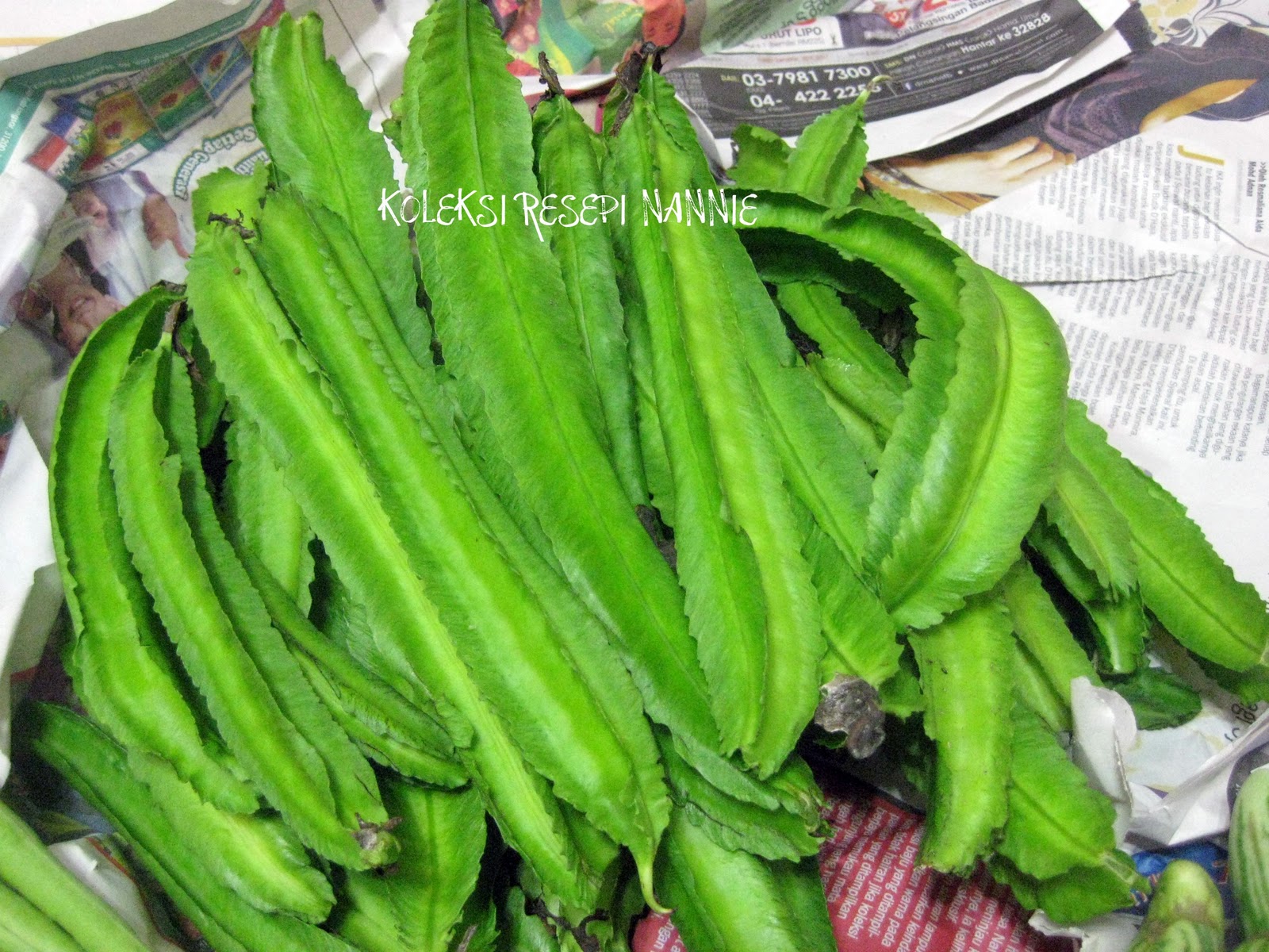 RESEPI NENNIE KHUZAIFAH: SAYUR-SAYURAN DARI KAMPUNG..