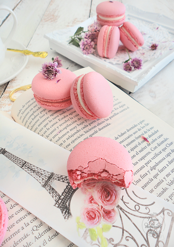 Macarons de Fresa — Nunca es demasiado dulce