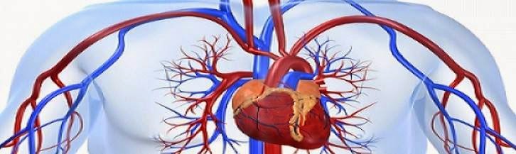 I love Biomedicine: Fisiopatologia - Débito Cardíaco