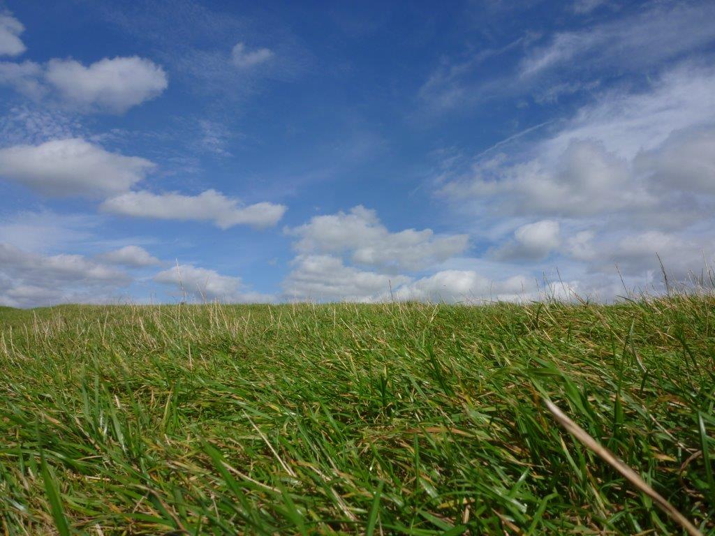 EL VISIR DE ABISINIA: Erin / 1 Tara