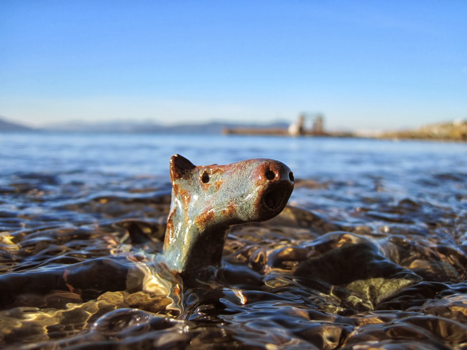 Matt Duckworth Underwater: Reindeer, Swimming